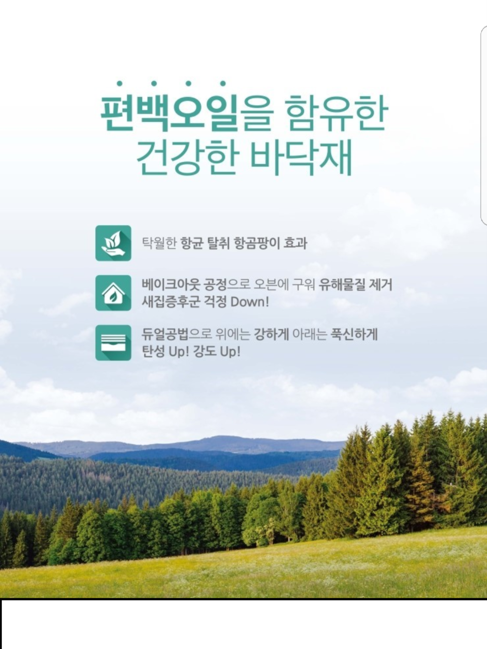 KCC그린편백장판1.8T롤 NP5021 피오니오크35M